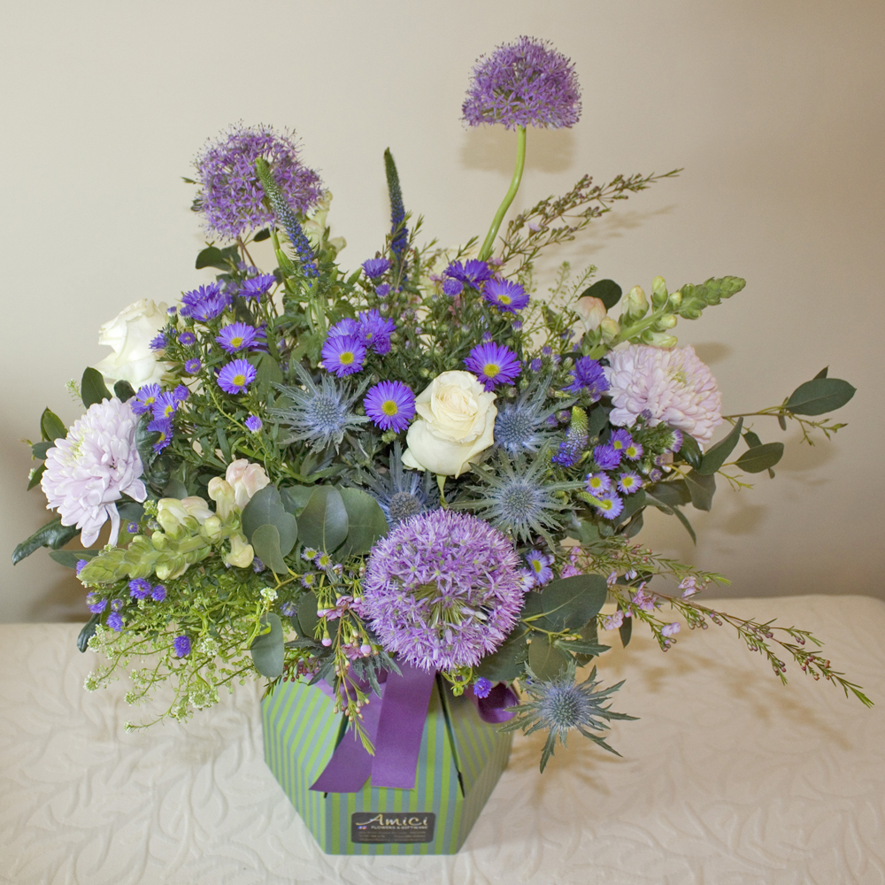 Truly Allium – Amici Flowers